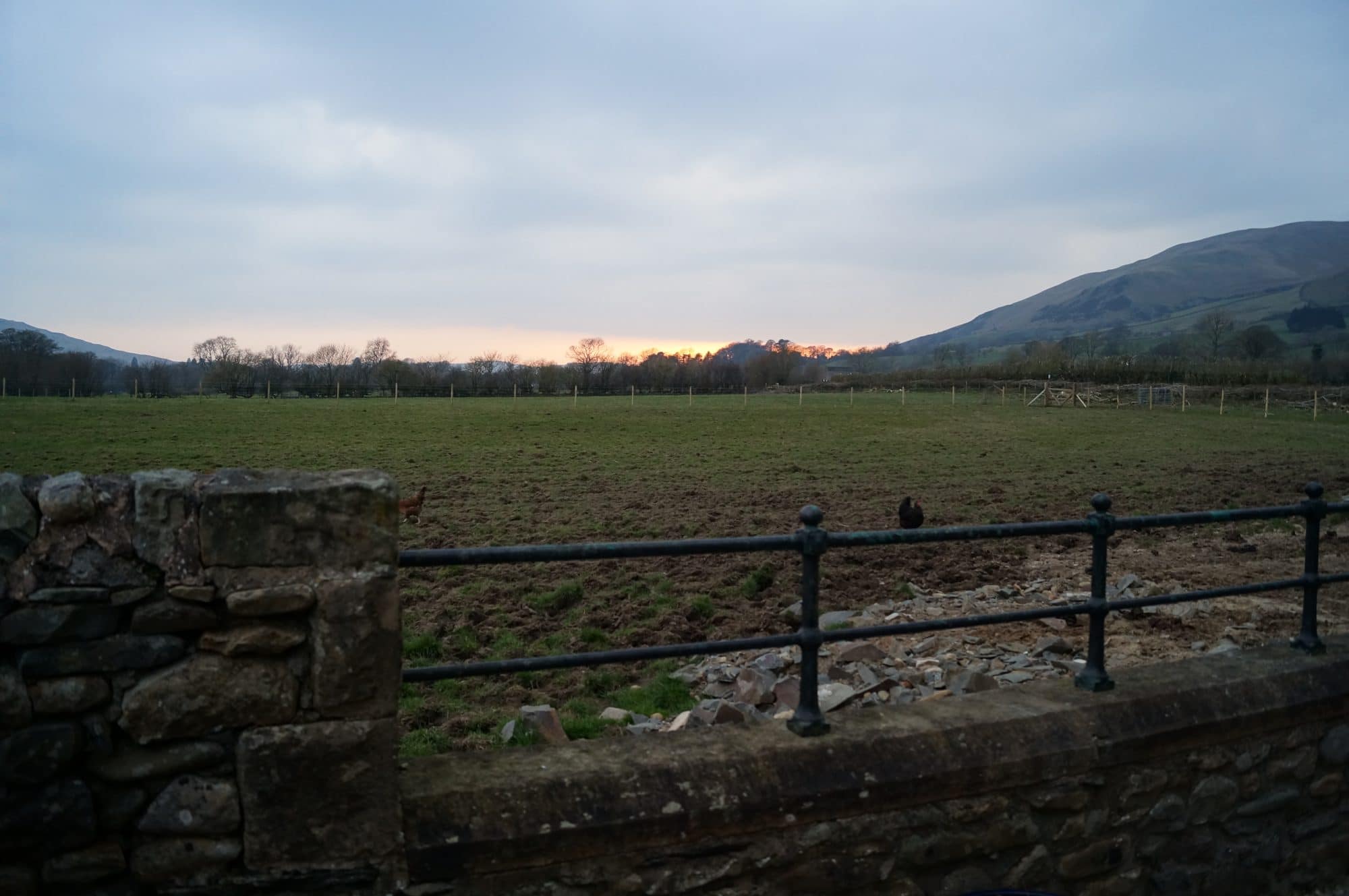 A Quick Trim – Scrogg House Farm